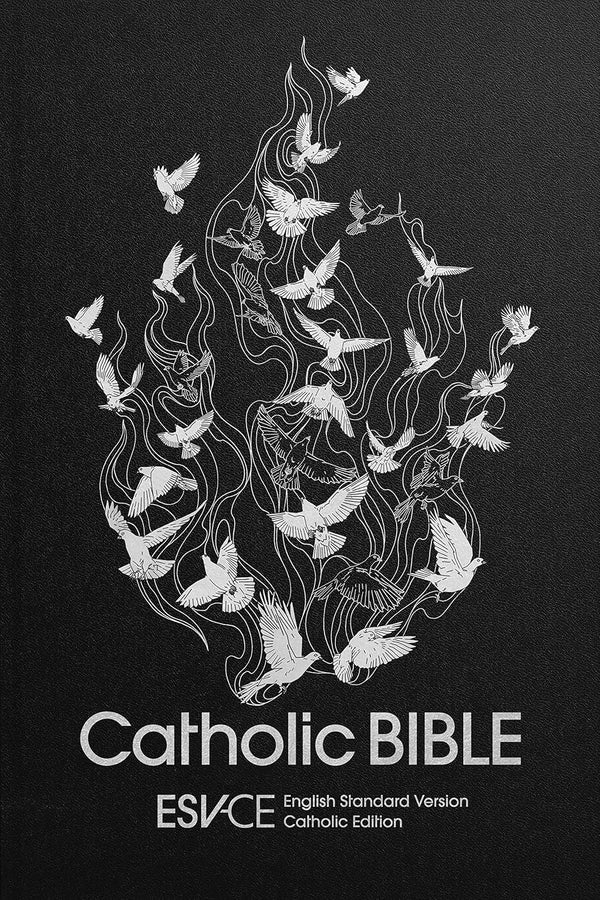 ESV-CE Catholic Bible (HARDBACK): Official Liturgical Edition for Engl ...
